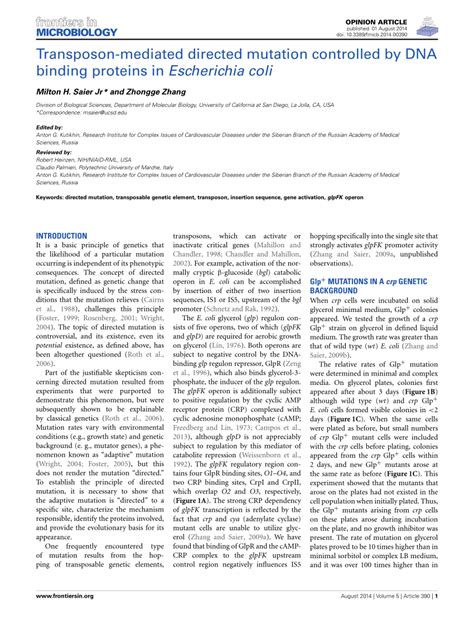 Pdf Transposon Mediated Directed Mutation Controlled By Dna Binding