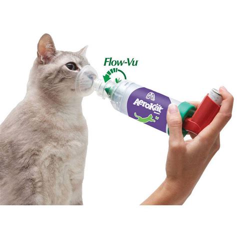 Aerokat For Cats Feline Aerosol Chamber For Asthma Vetrxdirect Feline Aerosol Chamber