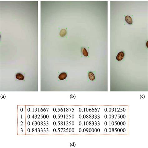Labeling Diagram Of Seeds A C The Results Of Ten Types Of Seed Download Scientific Diagram