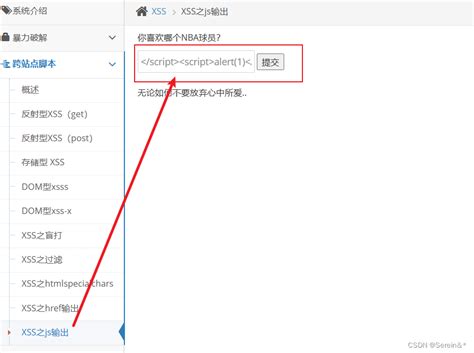xss平台偷取cookie使用 xss漏洞 csdn博客
