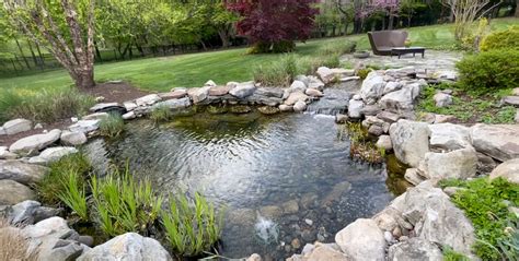 The 5 Components Of An Ecosystem Fish Pond Premier Ponds