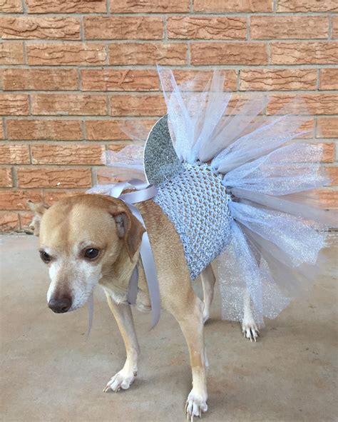 Shark Costume For Dogs Dog Costume Halloween Ideas Dog Tutu Dog