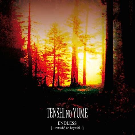 Tenshi No Yume Discography 天使の夢ディスコグラフィ Vkgy ブイケージ