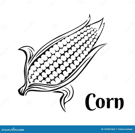 Corn Icon Black And White Outline Image Stock Vector Illustration Of Agriculture Grain