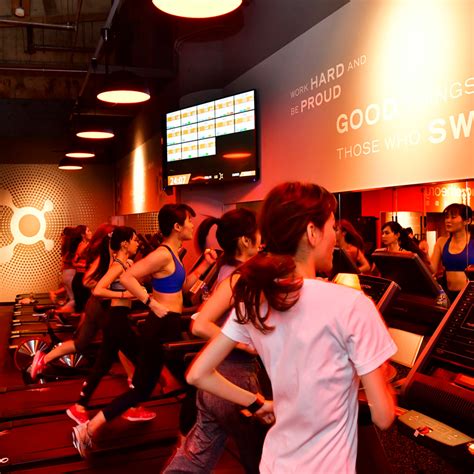 Hiitで効率よく全身引き締め！米国発の「オレンジセオリーフィットネス」を【体験レポ】 22 女性セブンプラス