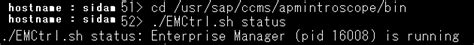 Sap Basis Genie