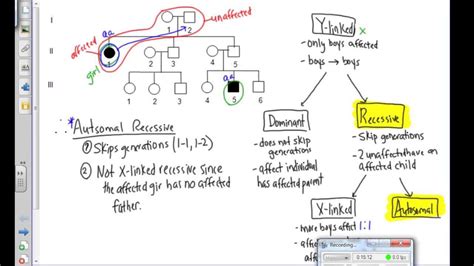 Human Pedigree Examples