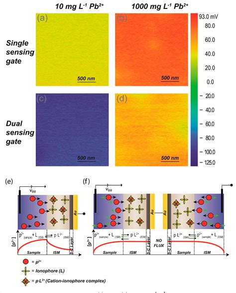 Figure 5 From Dual Gated Transistor Platform For On Site Detection Of