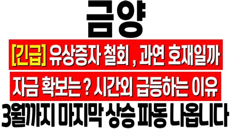 금양 주가 전망 유상증자 철회 과연 호재일까 시간외 급등이 나온 이유 마지막 상승 파동을 준비하는 세력 금양 주식