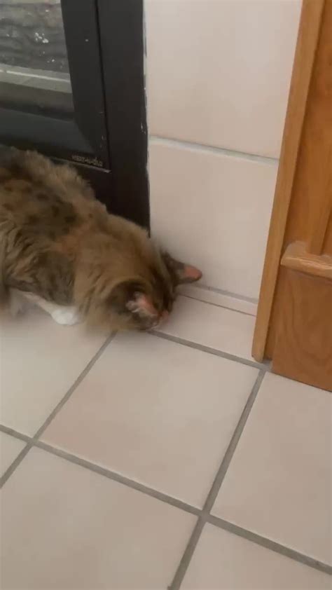 Peppermint Album On Imgur