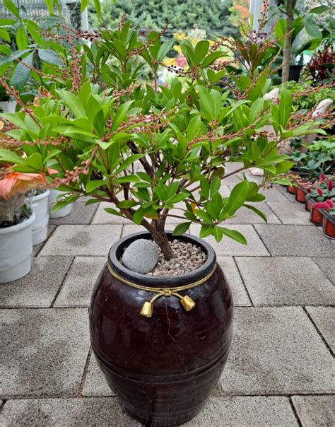 오래 보관 해야하는 천일염 보관법