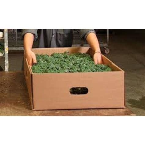 Fide Karton Fide Karton