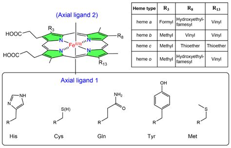 No And Heme Proteins Cross Talk Between Heme And Cysteine Residues