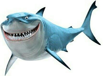 Bruce The Great White Shark Finding Nemo Characters Disney Finding