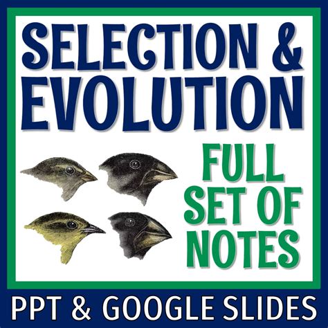Middle School Evolution Notes Flying Colors Science