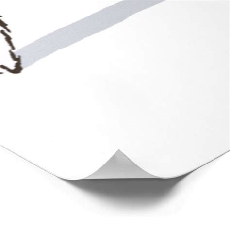 Cute Colorful Peacock Spider Drawing Art Poster Zazzle