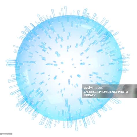 Illustration Of A Cell Membrane High Res Vector Graphic Getty Images