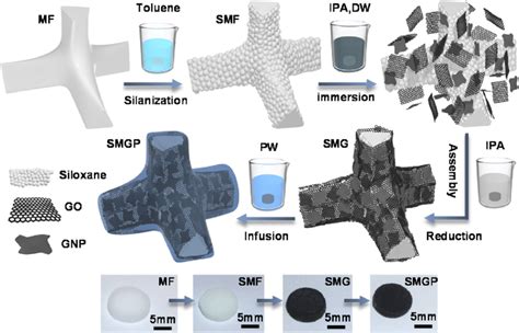 Schematic Illustration Of The Gnprgo Foam Composites Preparation Download Scientific Diagram