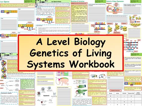 A Level Biology Genetics Of Living Systems Workbook Teaching Resources