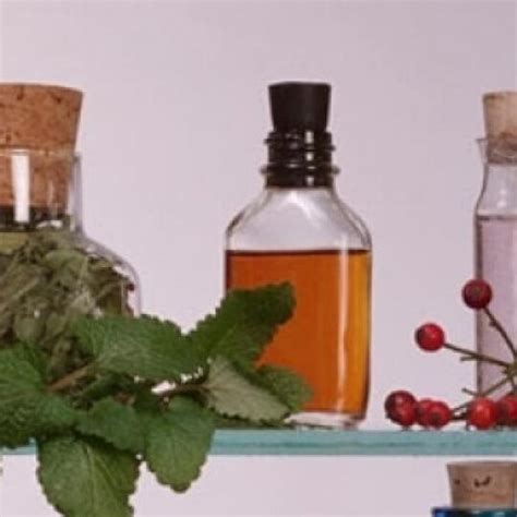 Remedios Caseros Para El Herpes Genital 5 Opciones Naturales
