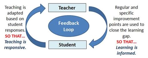 Teachers Teaching Feedback