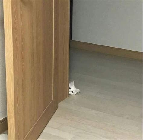 Hello Album On Imgur