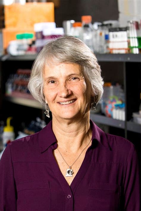 Dr Diana Downs Named Regents Professor Department Of Microbiology