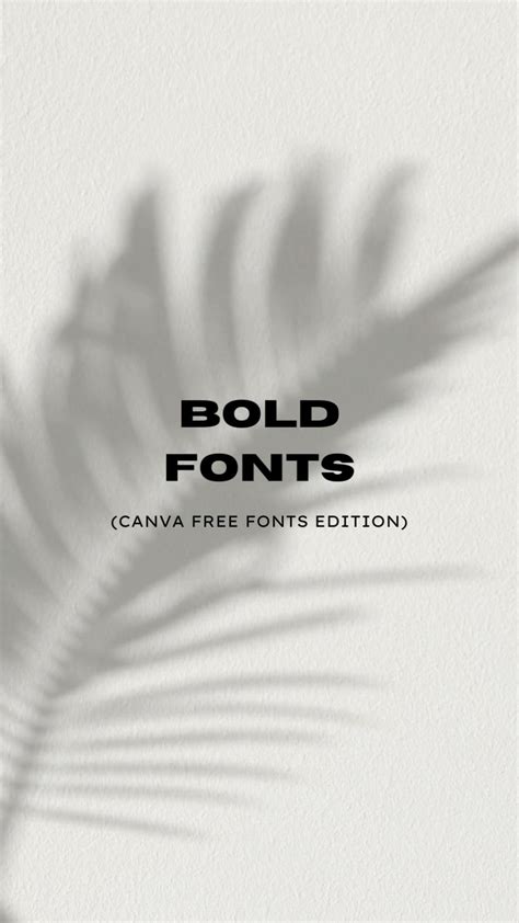The 5 Best Fonts To Instantly Boost Your Next Design Project Artofit