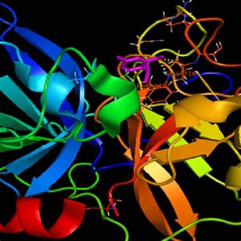Elastase Enzyme Of Pseudomonas Aeruginosa Docked With Citral Download