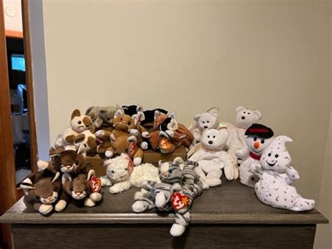 Ty Kitty Cats And Angel Bears Lot Live And Online Auctions On