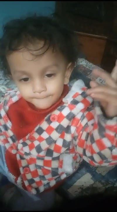 Cuteness Overloaded Viralvideo Love Adoreble Cute Reels Reelsvideo Reel Youtube