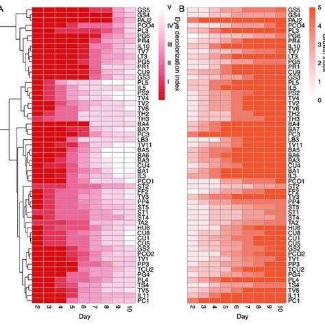 Dye Decolorization Levels Of The Top Fungal Isolates A Heatmap Of