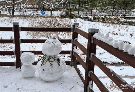 눈길 라이딩 자전거당 다모앙