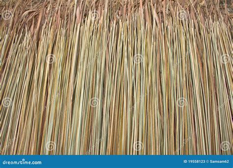Texture Of Thatch Stock Image Image Of Leaf Rough Backdrop 19558123
