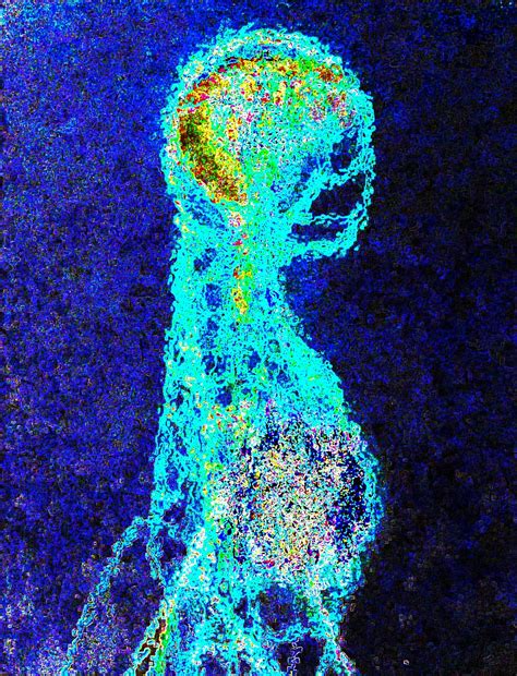 Human Insect By Vitestrella Collection Opensea