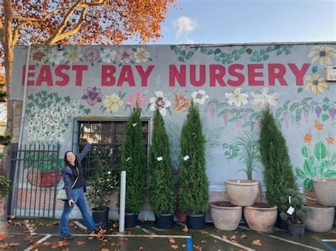 Eshraghi Nursery Added A New Photo Eshraghi Nursery