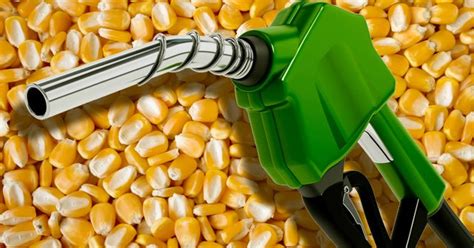 Corn Ethanol — Museum Of Failure
