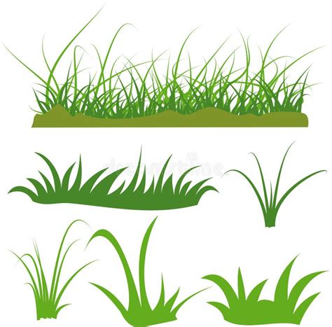 Grass Green Grass Leaves On White Background Stock Vector