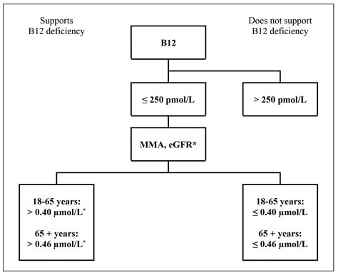 Methylmalonic Acidemia Vitamin B12
