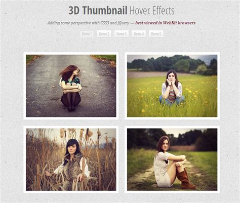 30 Incredible Jquery Image Hover Effect Plugins With Examples Wp