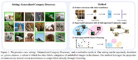 Novel Class Discovery 知乎