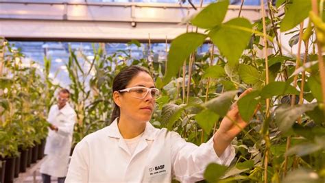 Benjamin Rieder On Linkedin Basf Advances Innovation Pipeline With