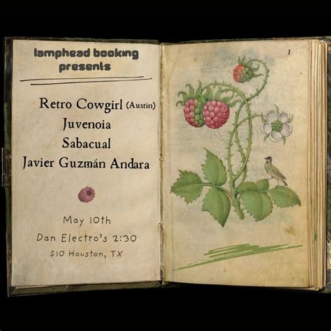 Juvenoia Juvenoiaband • Instagram Photos And Videos