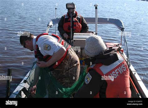 Fish Sampling Is A Key Component Of Aquatic Research Helping To