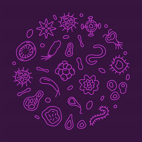 Bacteriology Vector Microbiology Science Concept Outline Round Banner