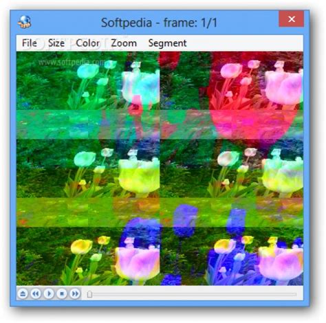 Yuv Player Download Softpedia