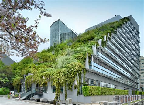 Vertical Garden Solusi Bertanam Modern Di Area Terbatas Shila At