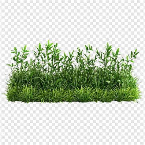 Lush Green Grass And Bushes 3d Render Free Psd