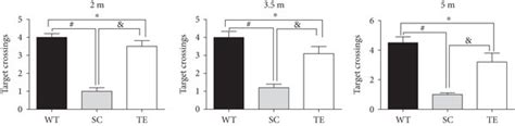 early 12 week treadmill exercise improved spatial learning and memory