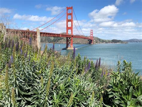 The Anderson Method Added A New Photo The Anderson Method